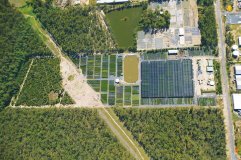 Nurseries - Andreasens Green